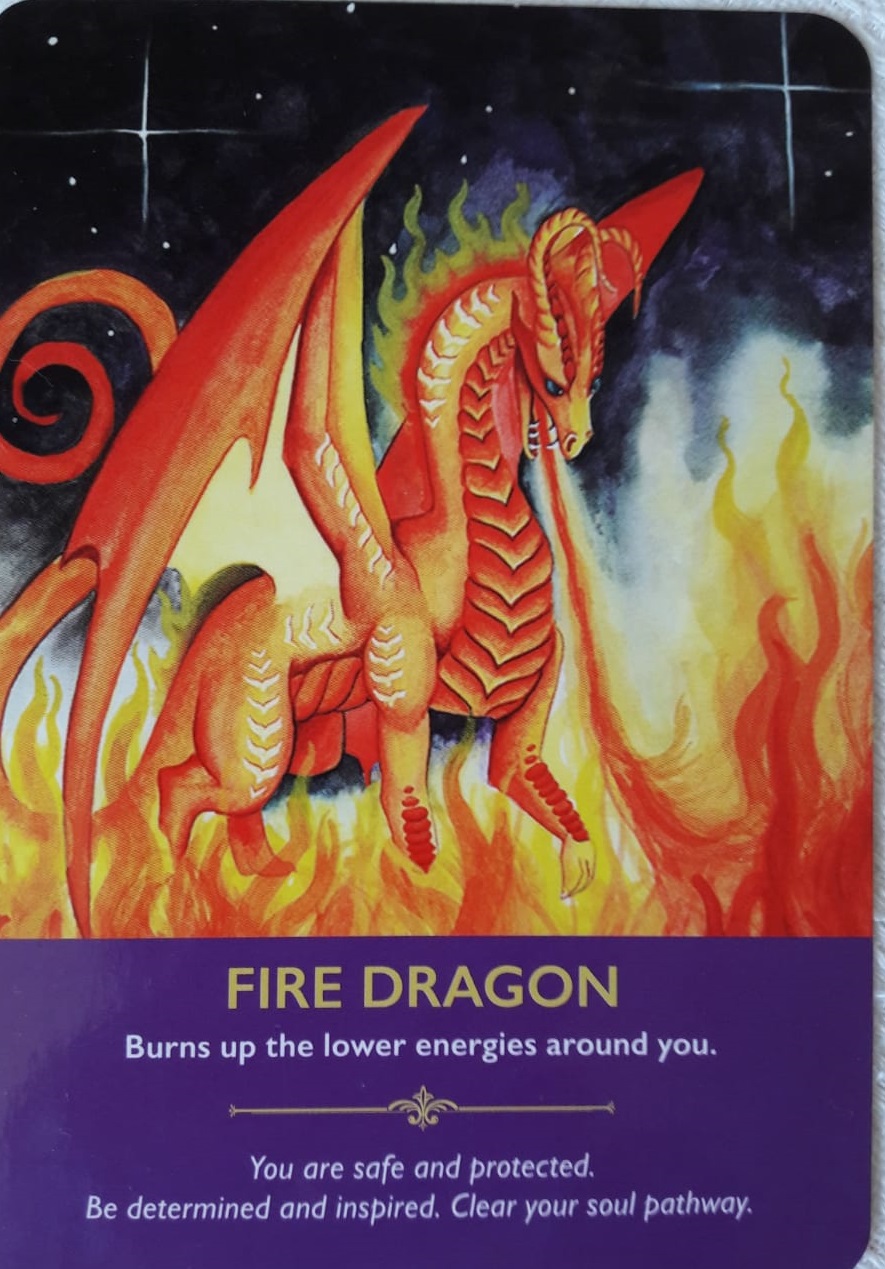 Fire Dragons – Songs And Poems by Sandra Hillawi